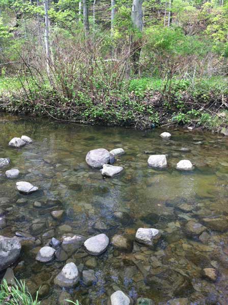 Streambed - Tinkers Creek Watershed Partners